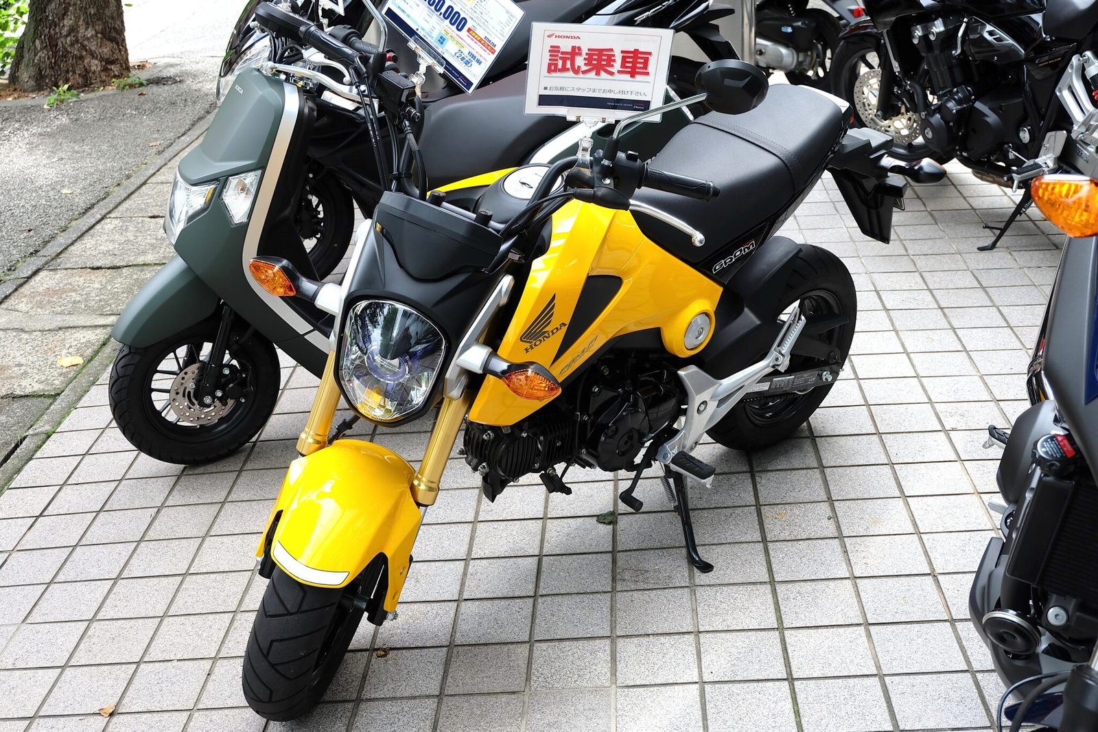Exploring the Honda Navi: A Comprehensive Guide to the Compact Scooty ...